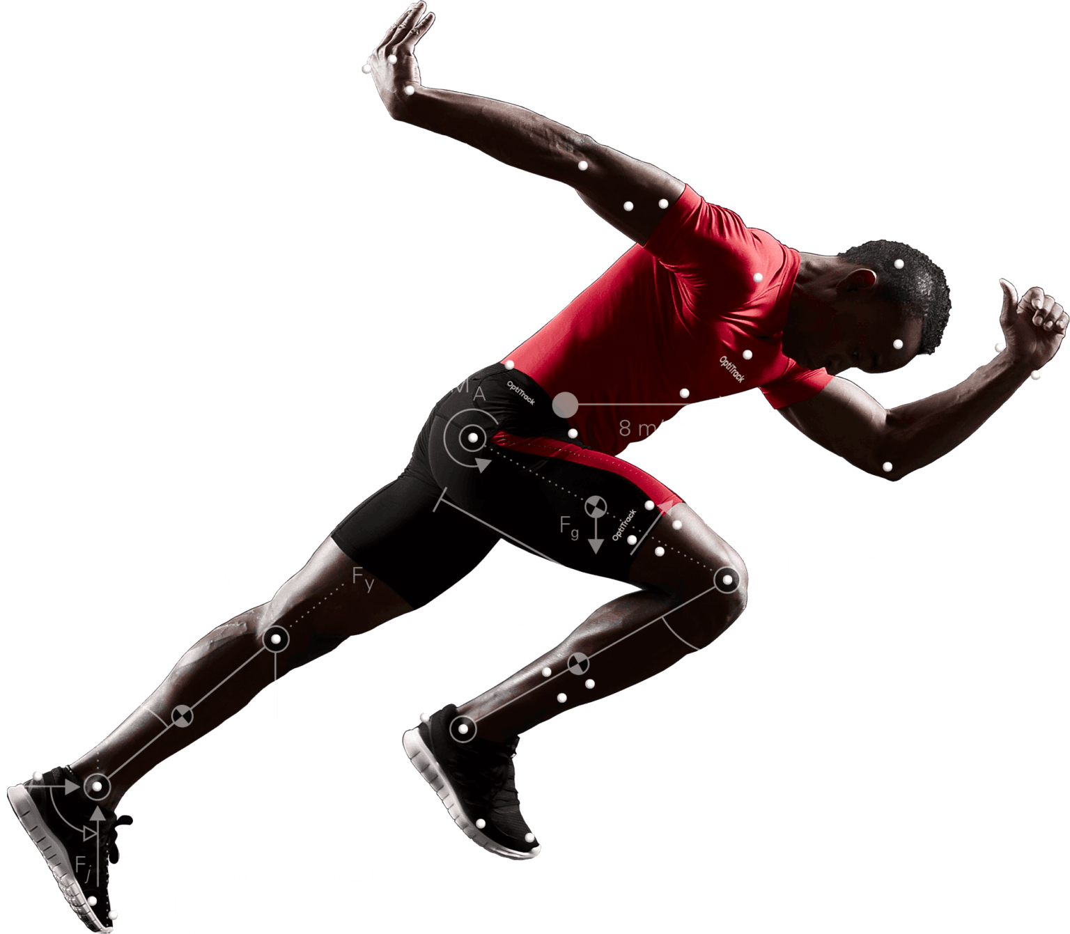 The Art of Animation: Bringing Stories to Life - Harvey Newman